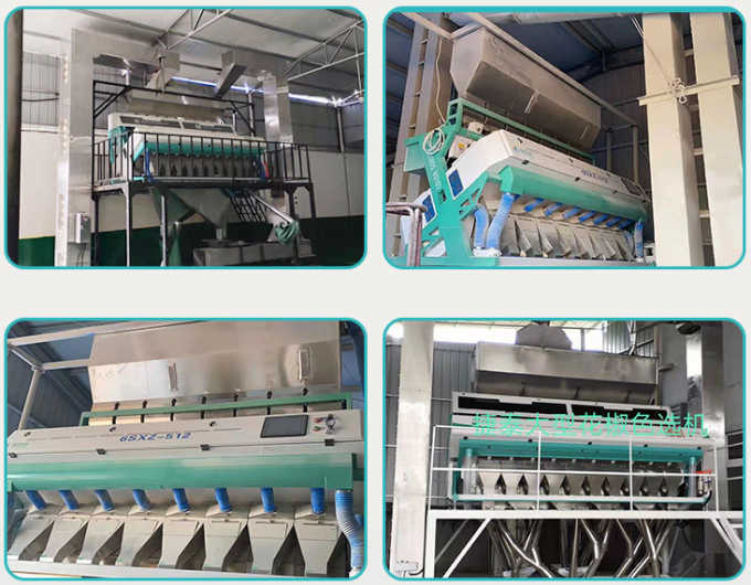CCD RGB Peanut Rice Color Sorting Machine 7 Chutes