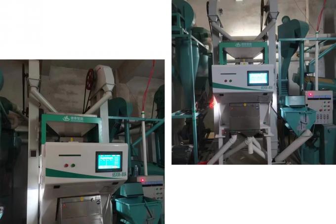 Intelligent Mini Almond Sorting Machine Cashew Color Sorter Machine
