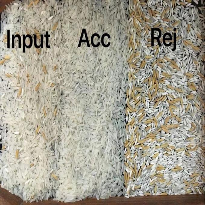 Multifunction Color Sorter Rice Walnut Mini Small Smart RGB Color ...