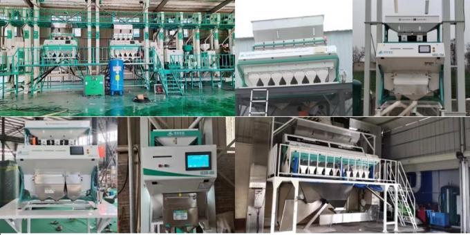 Intelligent Japonica Thailand Rice Color Sorter Machine Pecan Sorting ...
