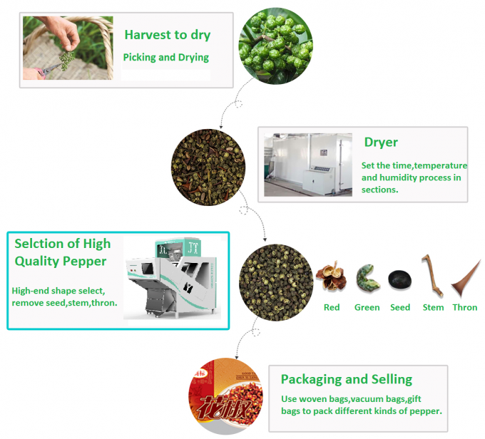 Small Size Pepper Color Sorting Machine For Color And Shape Sorting